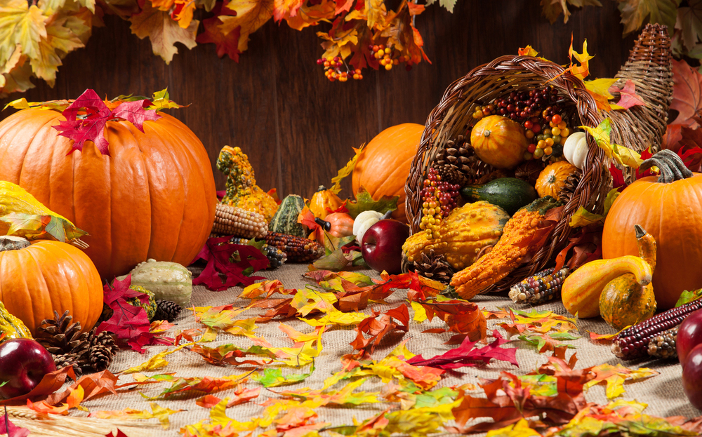 We wish you a happy Thanksgiving! | Hamilton Industries